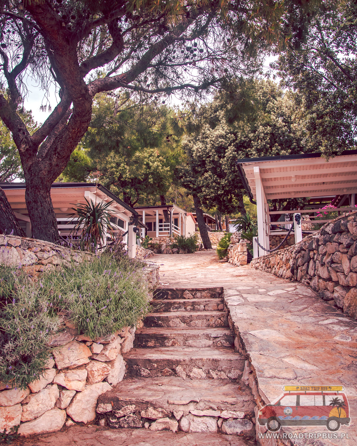 Camping Village Simuni (Pag, Chorwacja) - zdjęcia i relacja